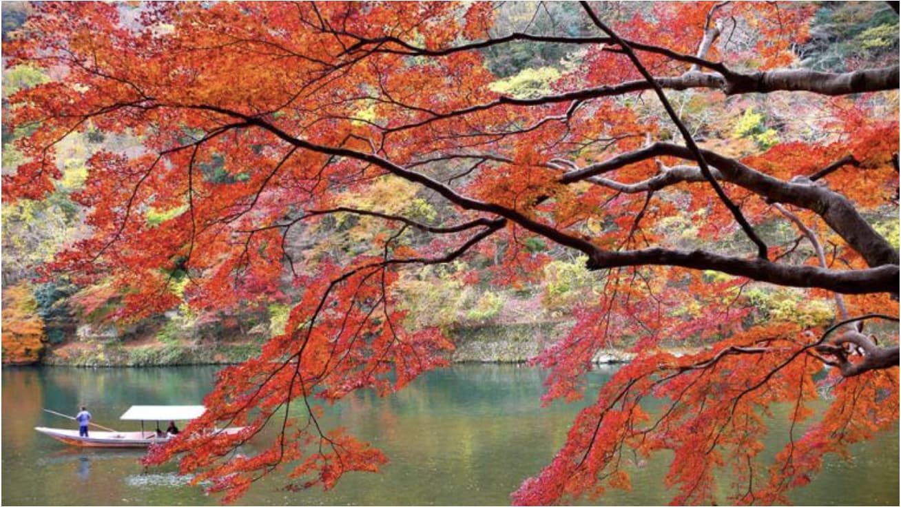 Hozu River Boat Tour (Hozu Gorge)