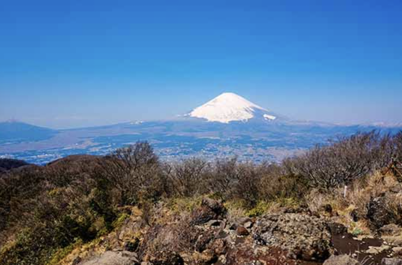 Mt. Kintoki